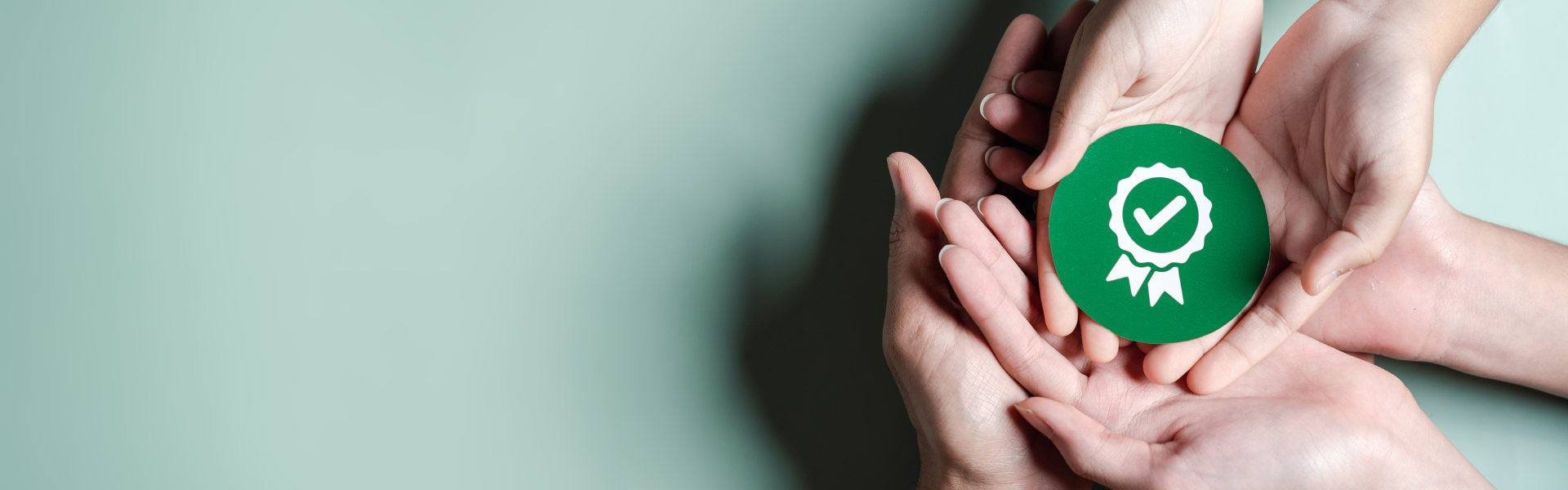 Quality Policy - Eliesha